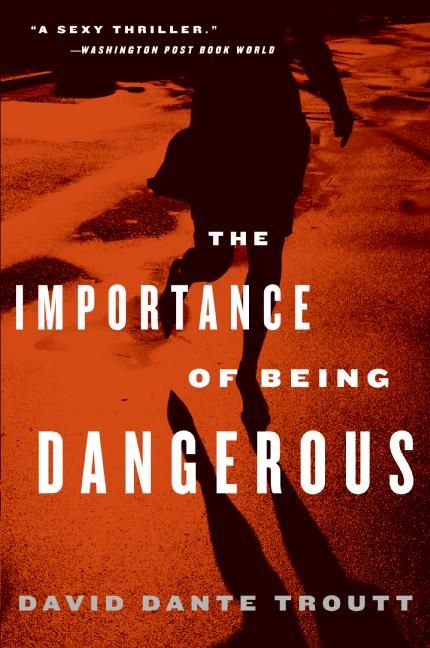 The Importance of Being Dangerous - David Dante Troutt - Paperback