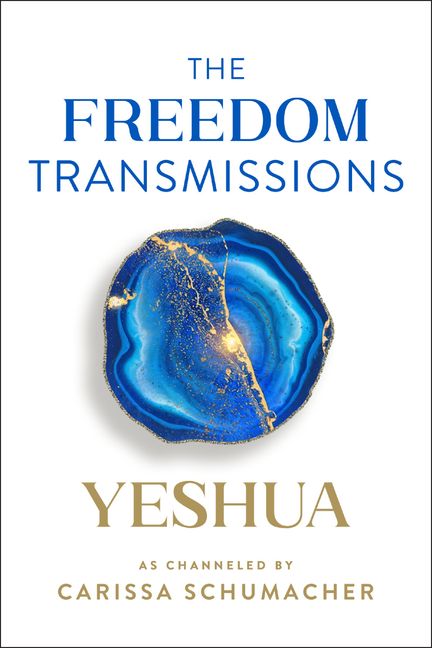 The Freedom Transmissions - Carissa Schumacher - Paperback