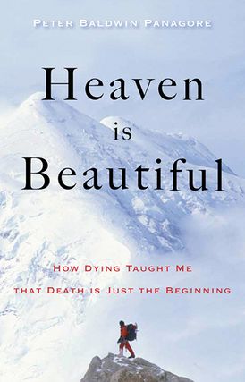 Heaven Is Beautiful - Peter Baldwin Panagore - Paperback