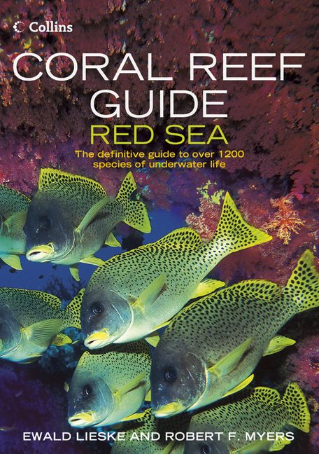 Collins Coral Reef Guide Red Sea - Robert Myers - Paperback