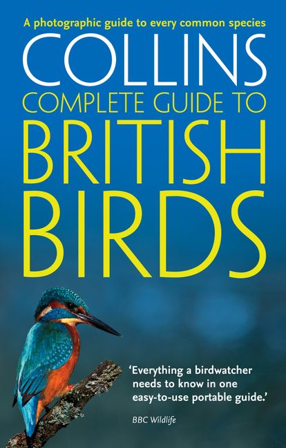 Collins Complete Guide to British Birds - Paul Sterry - Paperback