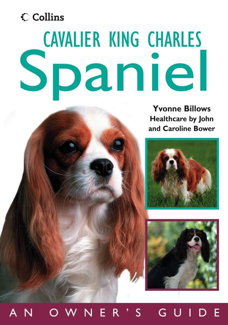 Cavalier King Charles Spaniel: An Owner's Guide :HarperCollins Australia