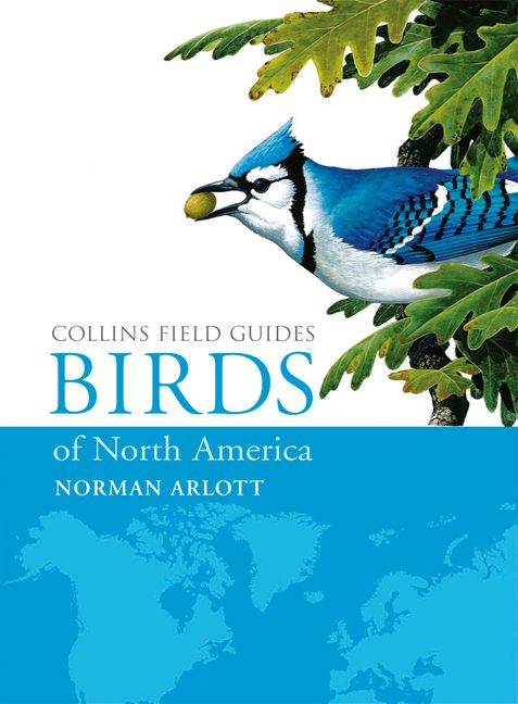 Collins Field Guide: Birds of North America :HarperCollins Australia
