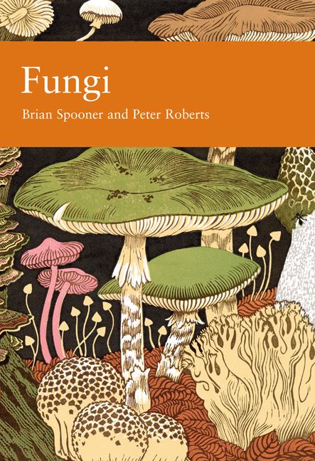 Fungi (Collins New Naturalist Library, Book 96) :HarperCollins Australia