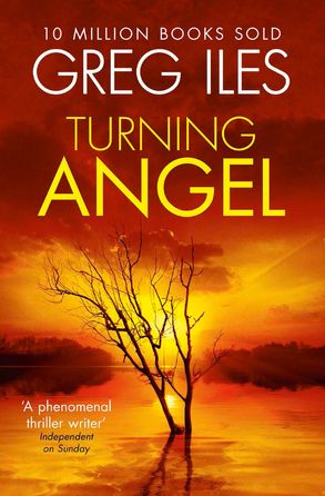 Turning Angel :HarperCollins Australia