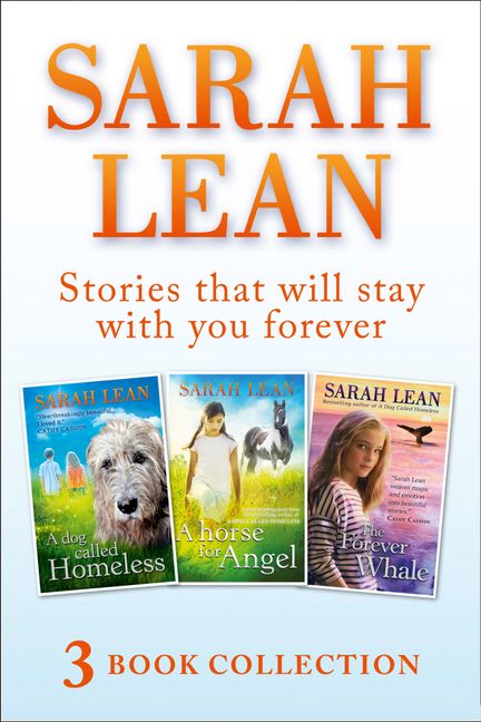 Sarah Lean - 3 Book Collection (A Dog Called Homeless, A Horse for ...