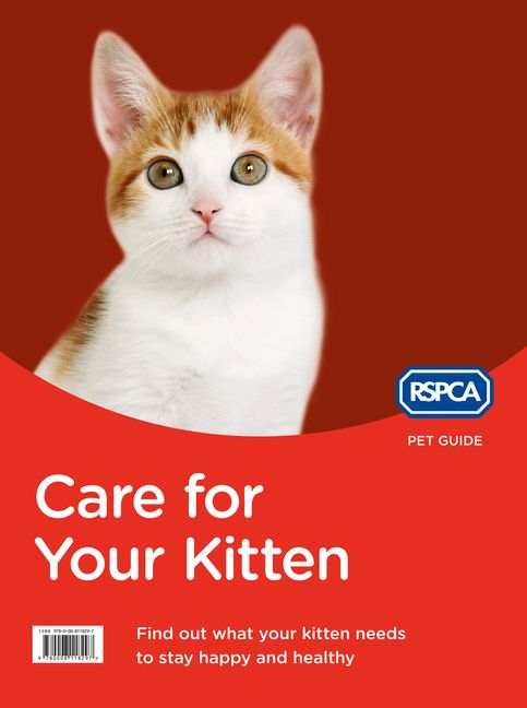 Care for Your Kitten (RSPCA Pet Guide) - RSPCA - eBook