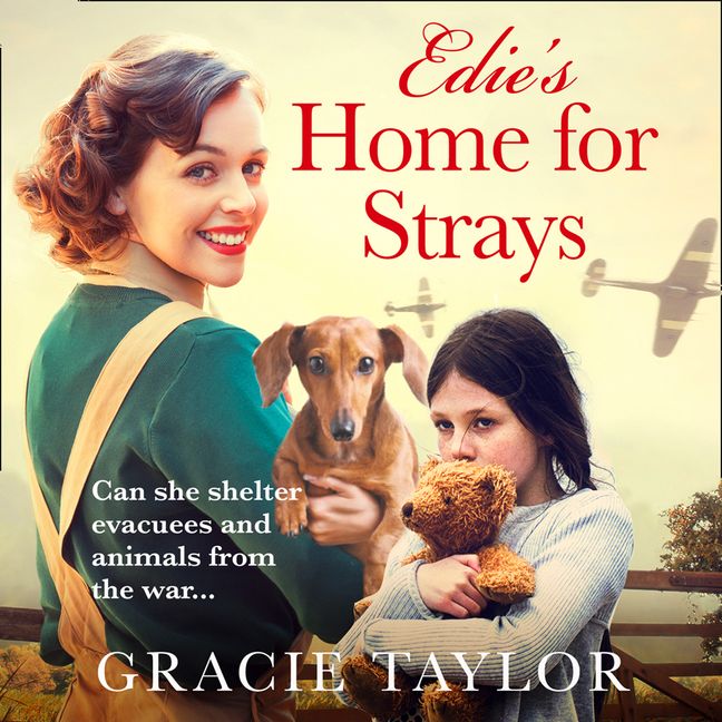 Edie’s Home for Strays: The new WW2 historical homefront saga that will ...