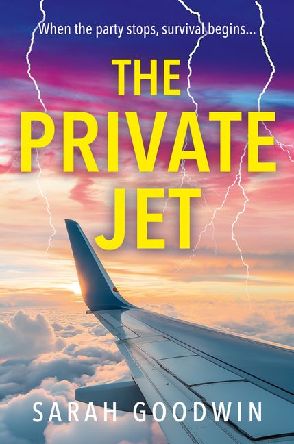 The Private Jet (The Thriller Collection, Book 7) - Sarah Goodwin - eBook