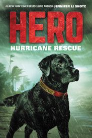 Hero - Jennifer Li Shotz - Paperback