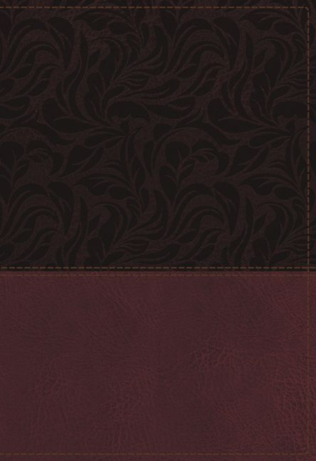 NKJV Study Bible Full-Color Indexed Red Letter Edition [Red ...