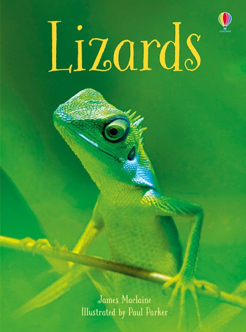 Beginners Lizards :HarperCollins Australia