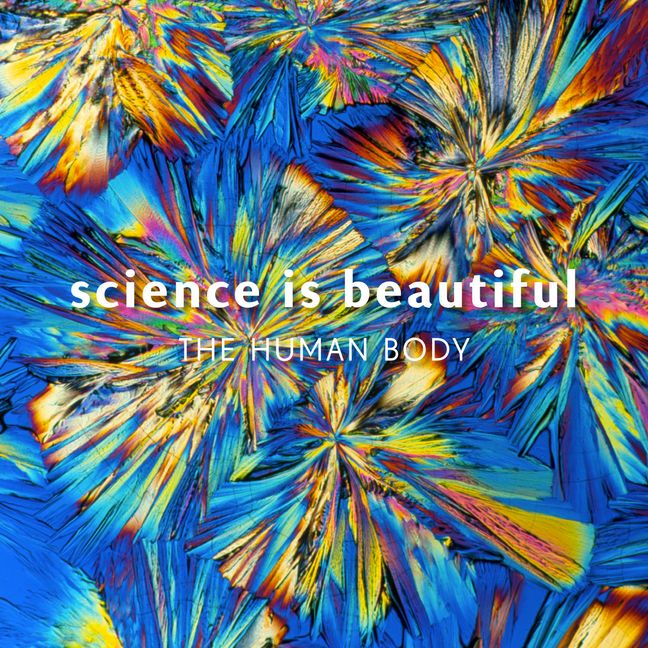 Science is Beautiful :HarperCollins Australia