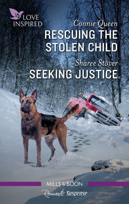 Rescuing the Stolen Child/Seeking Justice - Sharee Stover - eBook