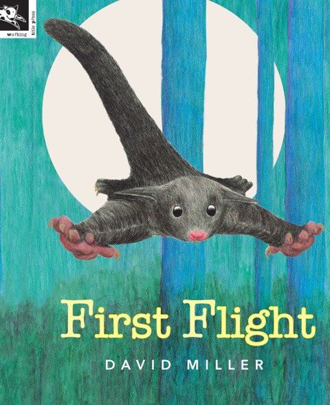 First Flight :HarperCollins Australia